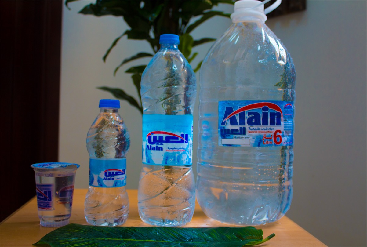 The International Agriculture and Food Exhibition – Alain Company